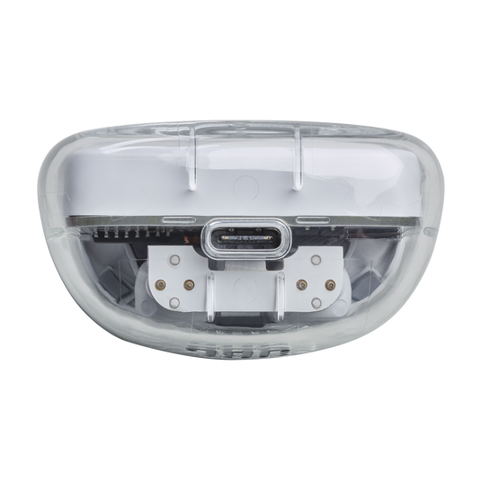 JBL Tune Flex Ghost Edition | True wireless Noise Cancelling earbuds