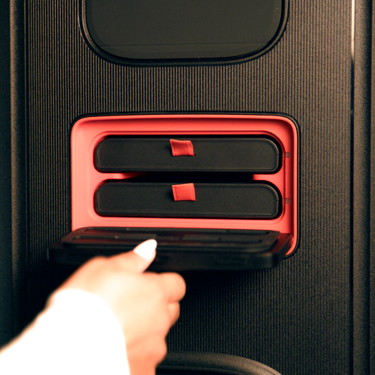 JBL Battery 600 Duo with Charging Case | Two easy-to-replace spare ...