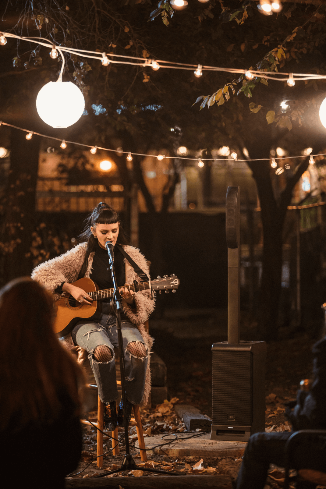 How to choose the perfect portable P.A. for your live performance or ...